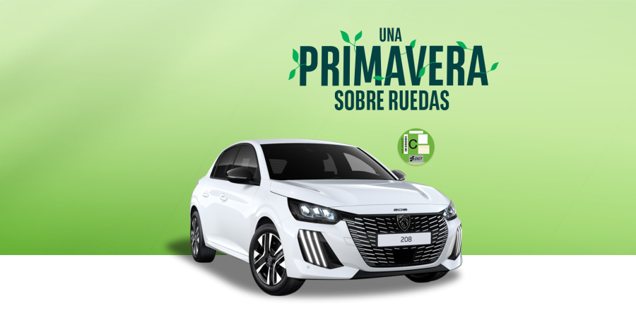Renting de coches para empresas, autónomos y PYMES | Arval Es